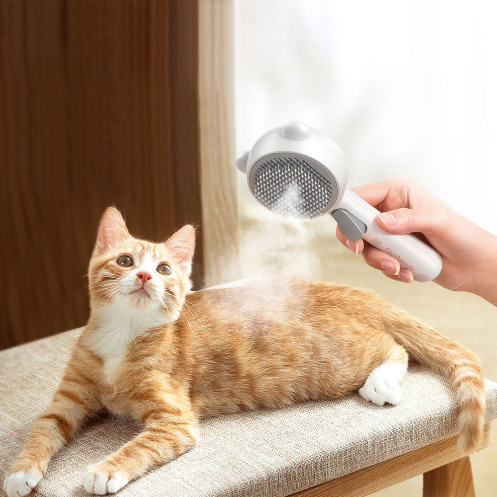 Cat Steam Brush for Indoor Cats with Release Button – FeelNeedy