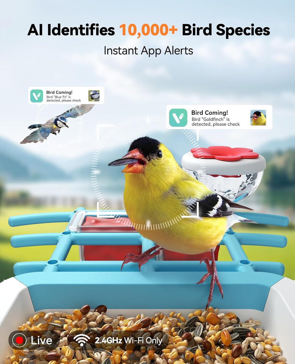 Smart Bird Feeder with Camera,Solar-Powered 2K HD Bird Watching Camera ...